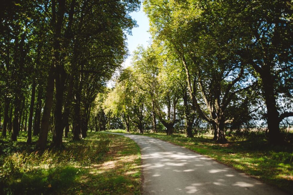 Gallery | Ashton Estate Country Holidays: Luxury Holiday Rental Houses