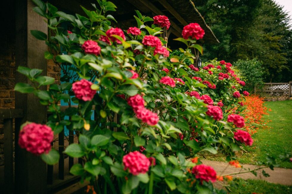 Gallery | Ashton Estate Country Holidays: Luxury Holiday Rental Houses